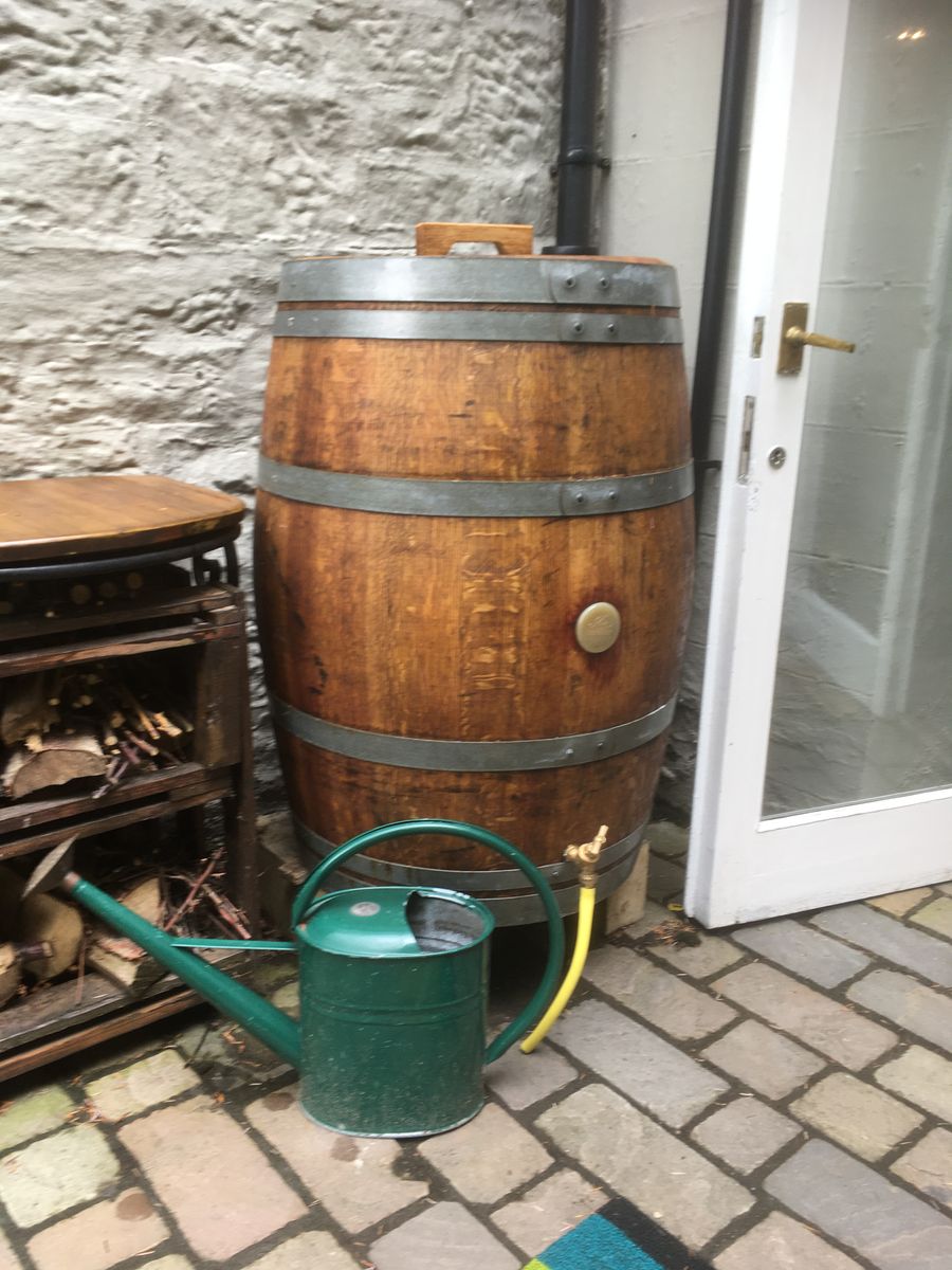 Wooden Barrels for Sale | Whiskey, Wine & Oak Barrels – Celtic Timber